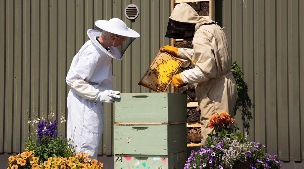 Kesko is enhancing its biodiversity work – pilot project of FIBS and ...