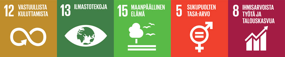 YK:n kestävän kehityksen tavoitteet